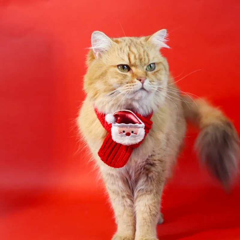 Cozy Cat Christmas Outfit: Winter Neck Warmer & Festive Scarf - Shop ...