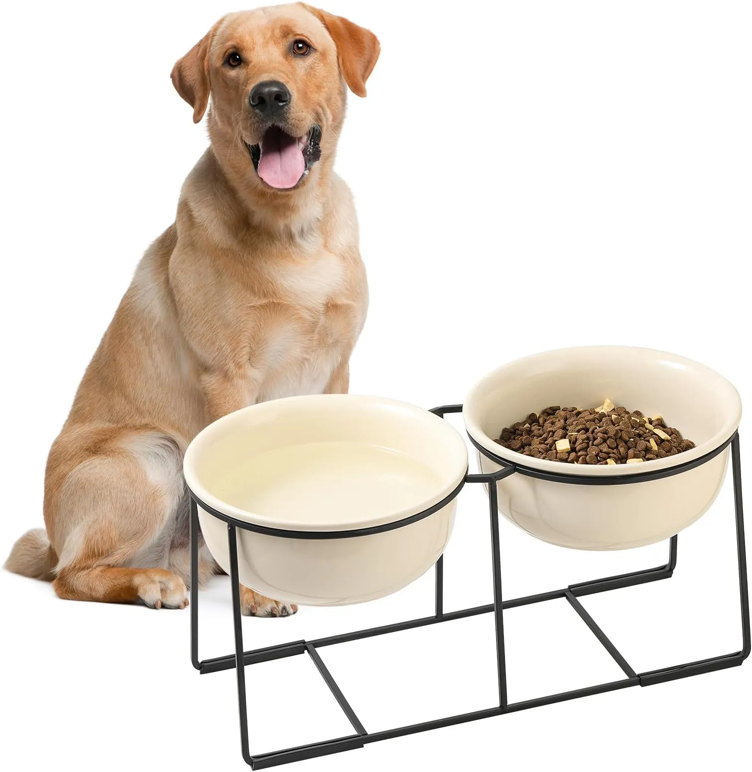Premium Raised dog and bowl with Non-Slip Stand - Heavy-Weighted ...
