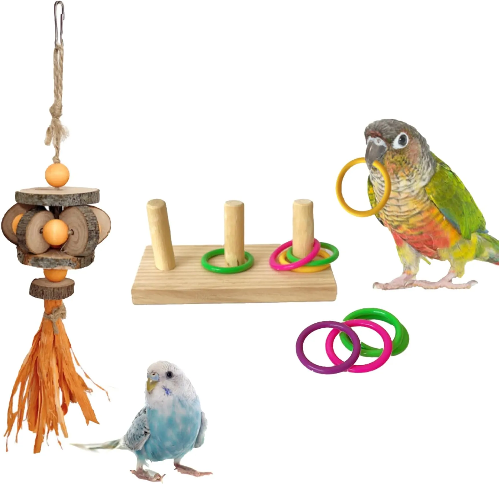 Interactive Parrot Training Set: Colorful Rings, Applewood Chew Toy ...
