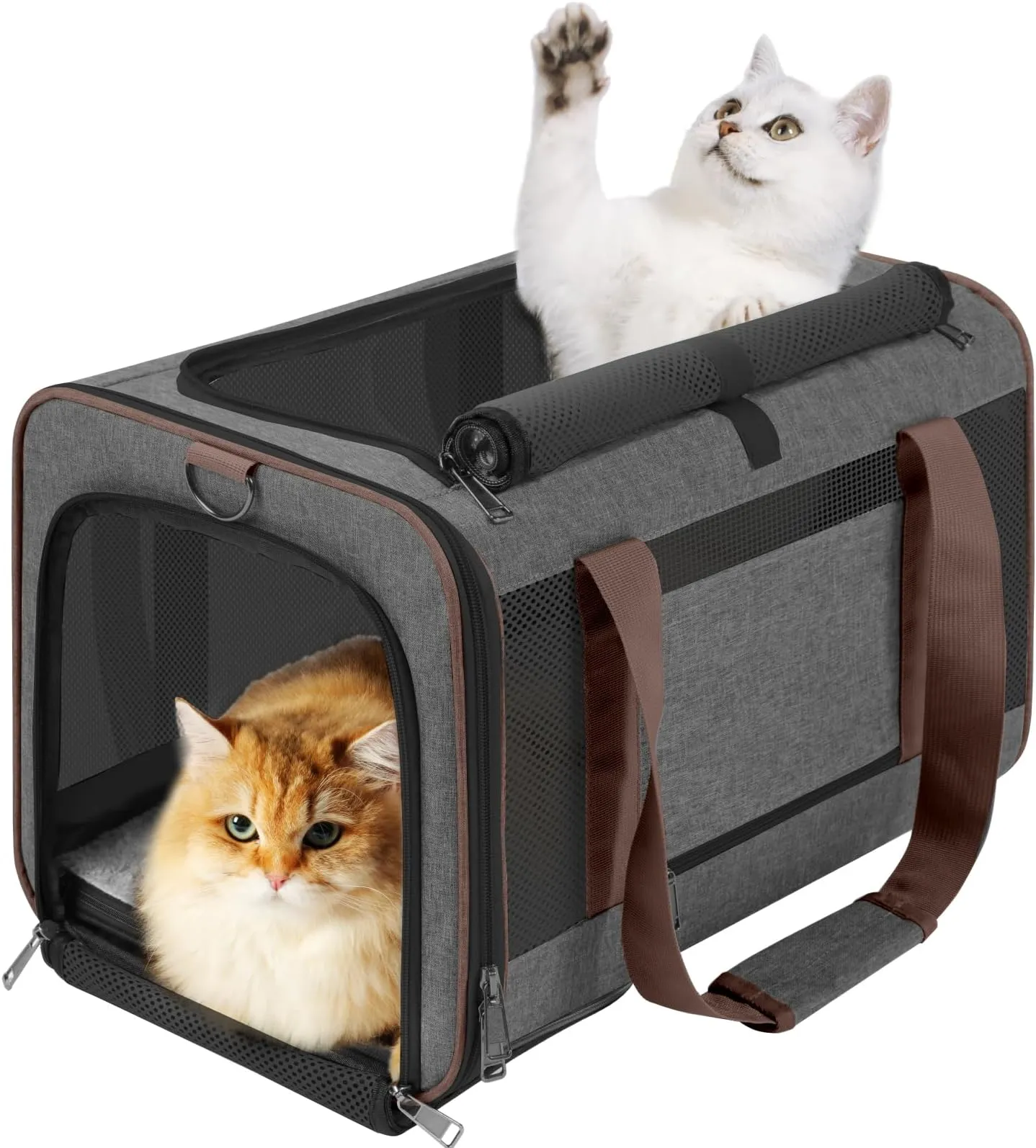 Large Cat Carrier Bag - Soft-Sided Pet Travel Carrier for Medium ...
