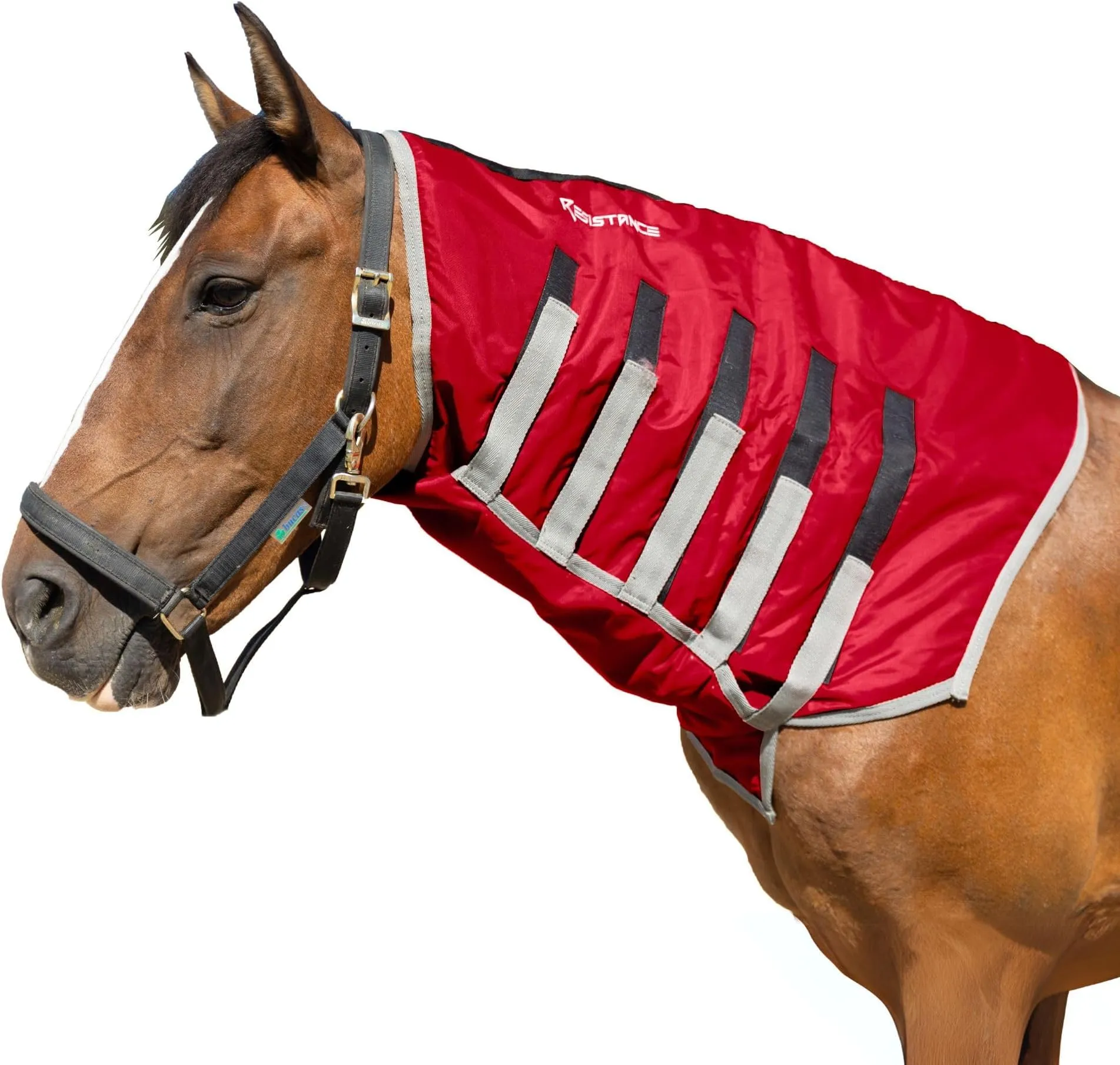DHgate.com:Lightweight Breathable Horse Slicker with Neck Cover ...