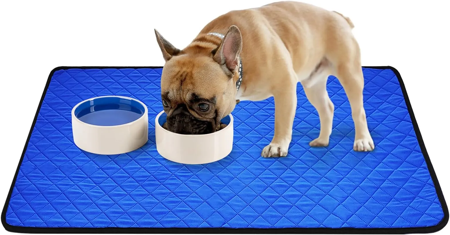 Absorbent Pet Bowl Mat 2-Pack: Washable, Leakproof, Non-Slip - Perfect ...