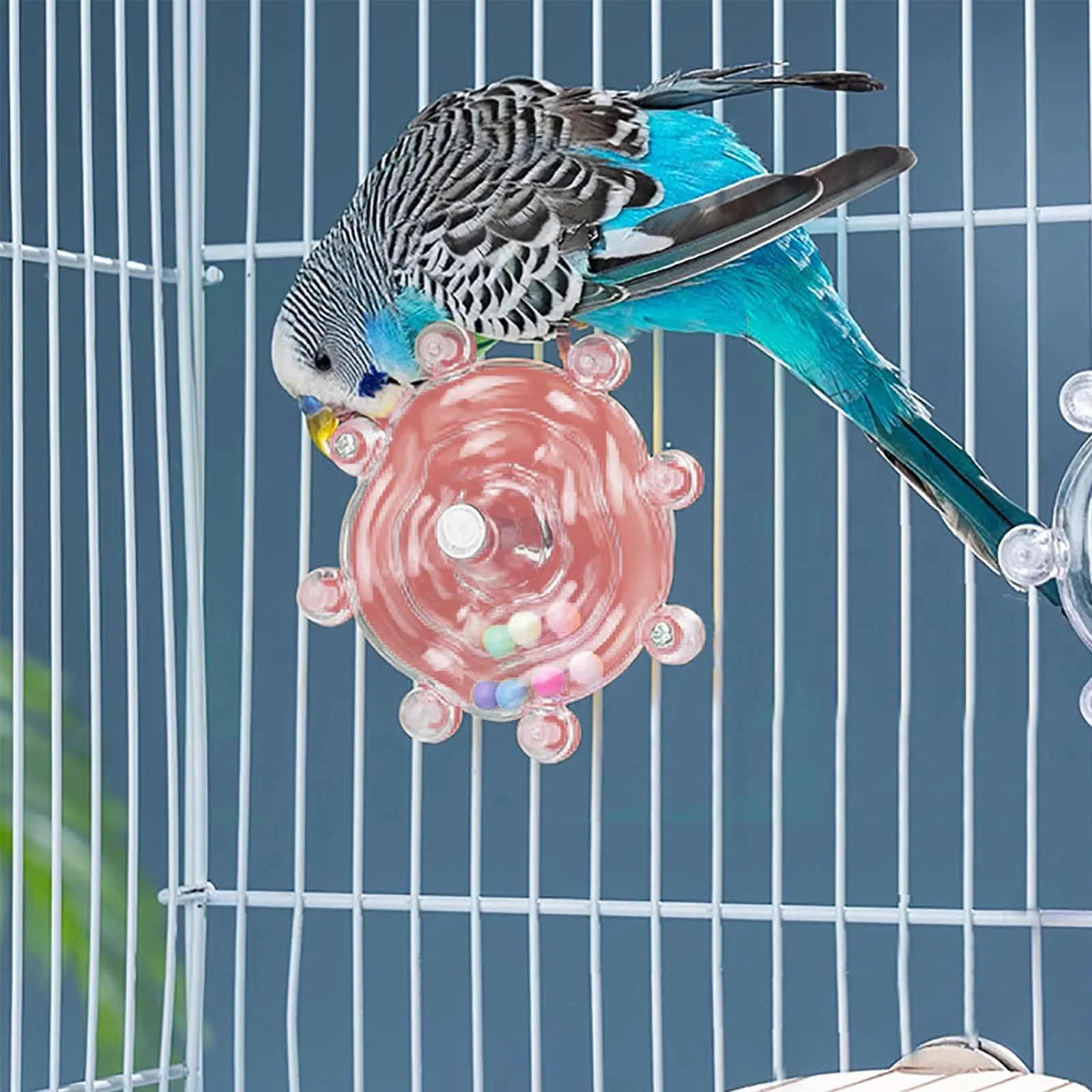 Interactive Bird Toy Windmill Roller - Parrot Chew Toy for Parakeets ...