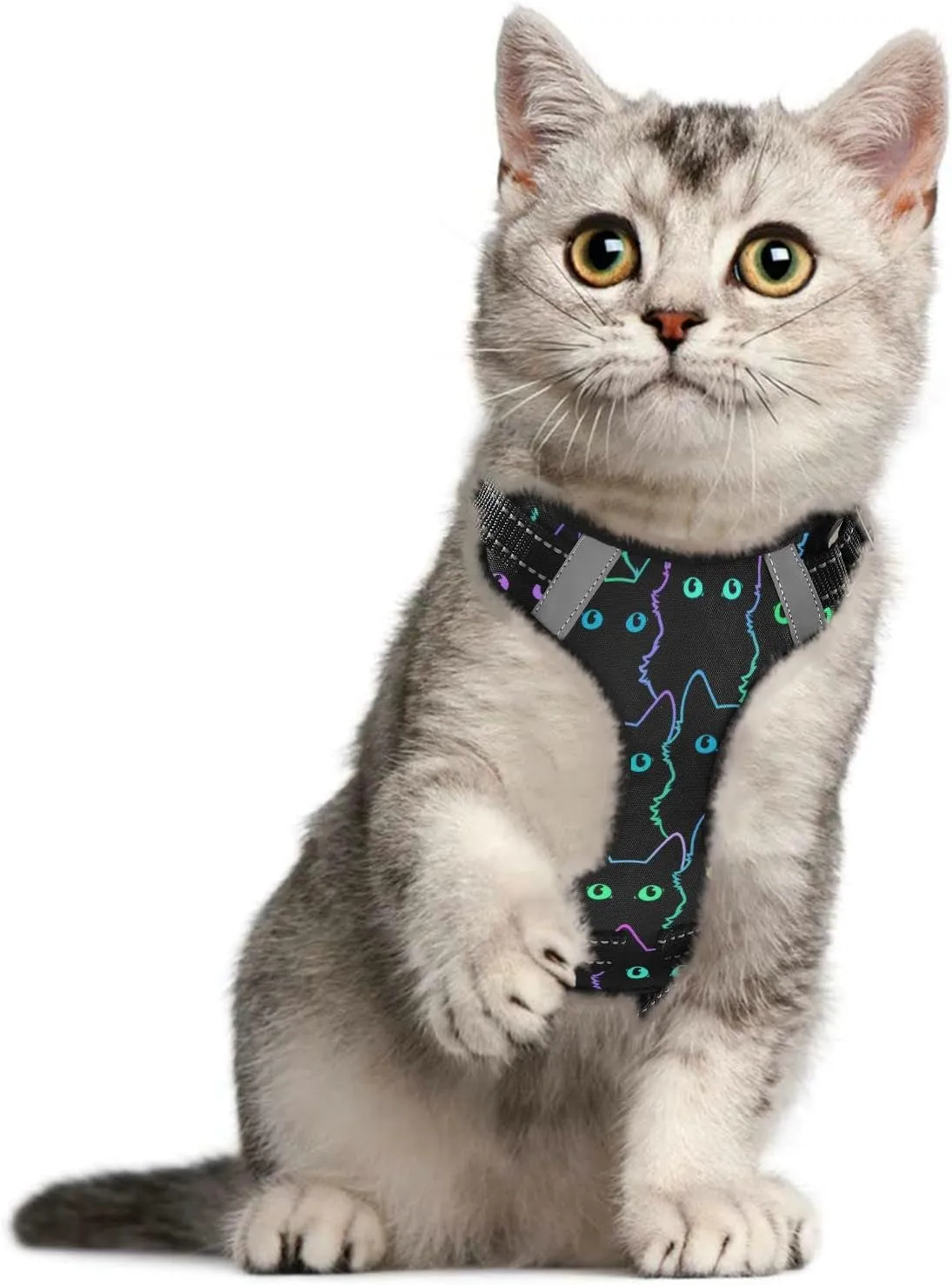 DHgate.com:Adjustable Cat Harness & Leash Set - Soft Breathable Mesh ...
