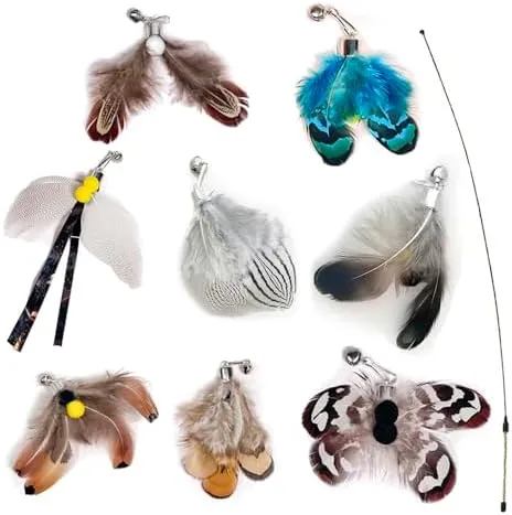 DHgate.com:Interactive Cat Feather Wand Toy Set with 8 Replacement ...