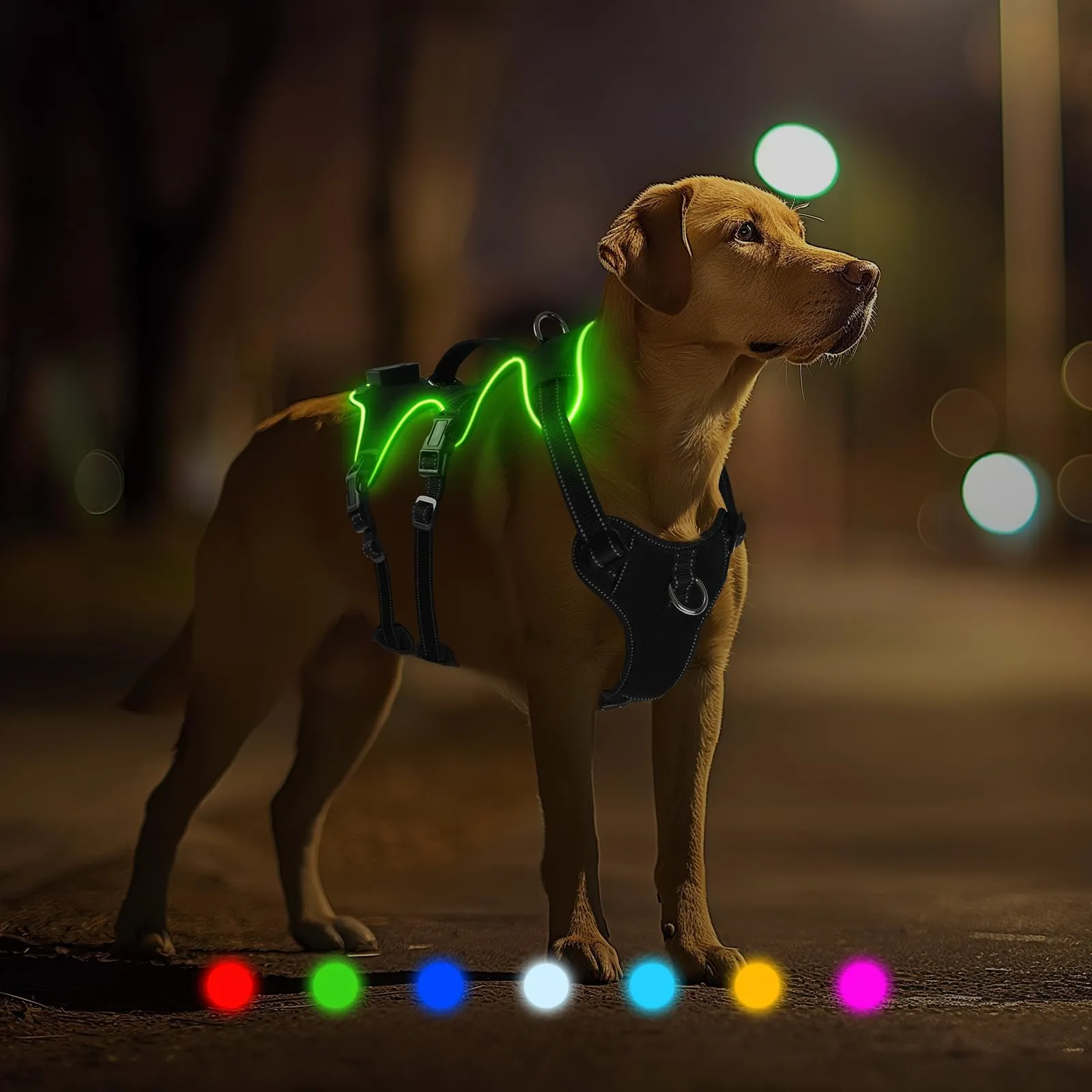 Light Up Dog Harness with Changing LEDs, Rechargeable No Pull Nylon Dog ...