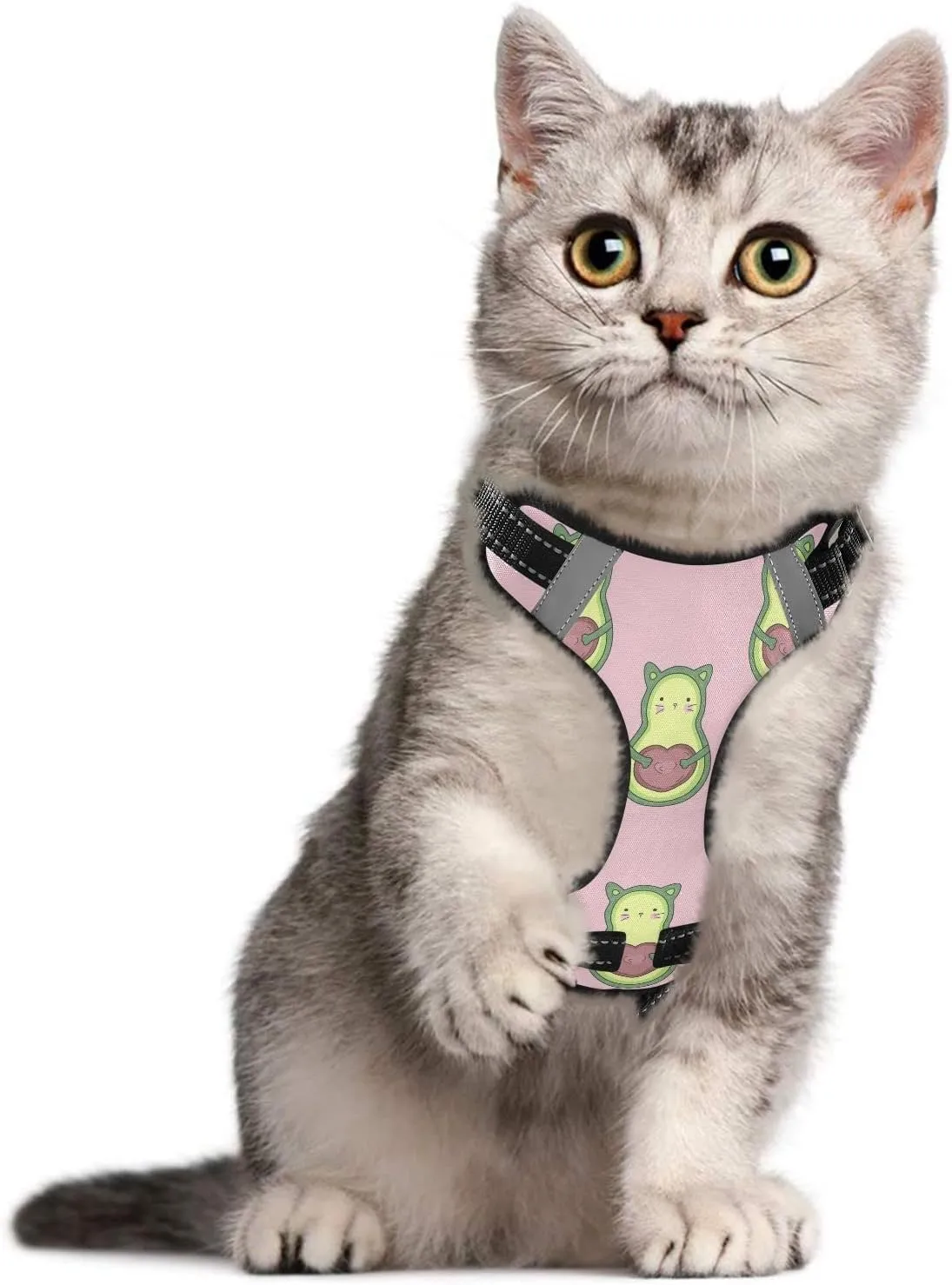 DHgate.com:Cute Avocado Cartoon Cat Harness and Leash Set - Adjustable ...