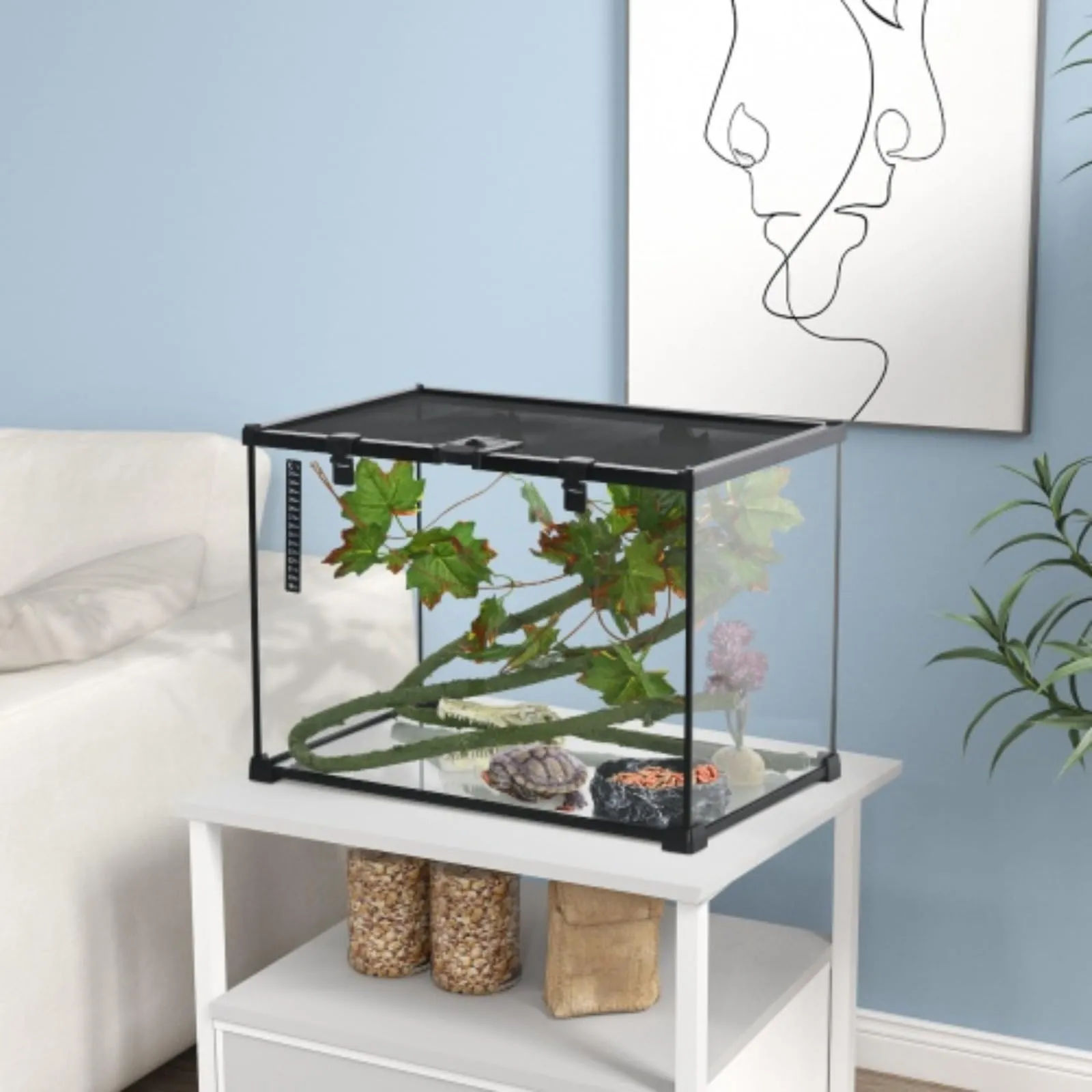 Premium Reptile Tank Kit: Glass Terrarium with Sliding Screen Top ...