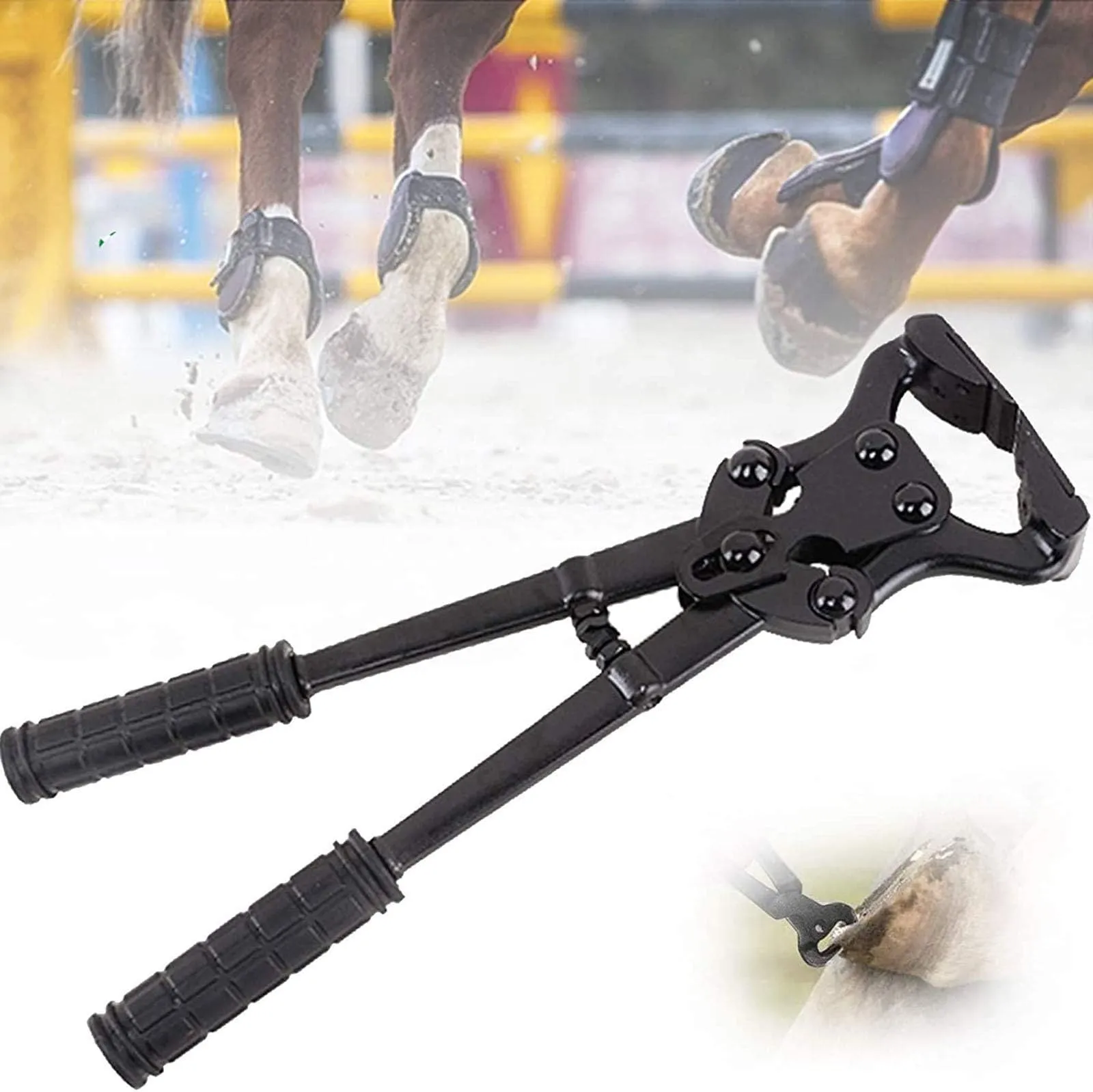 Premium Horse Hoof Trimmers - Heavy Duty Equine Farrier Tool, Durable ...