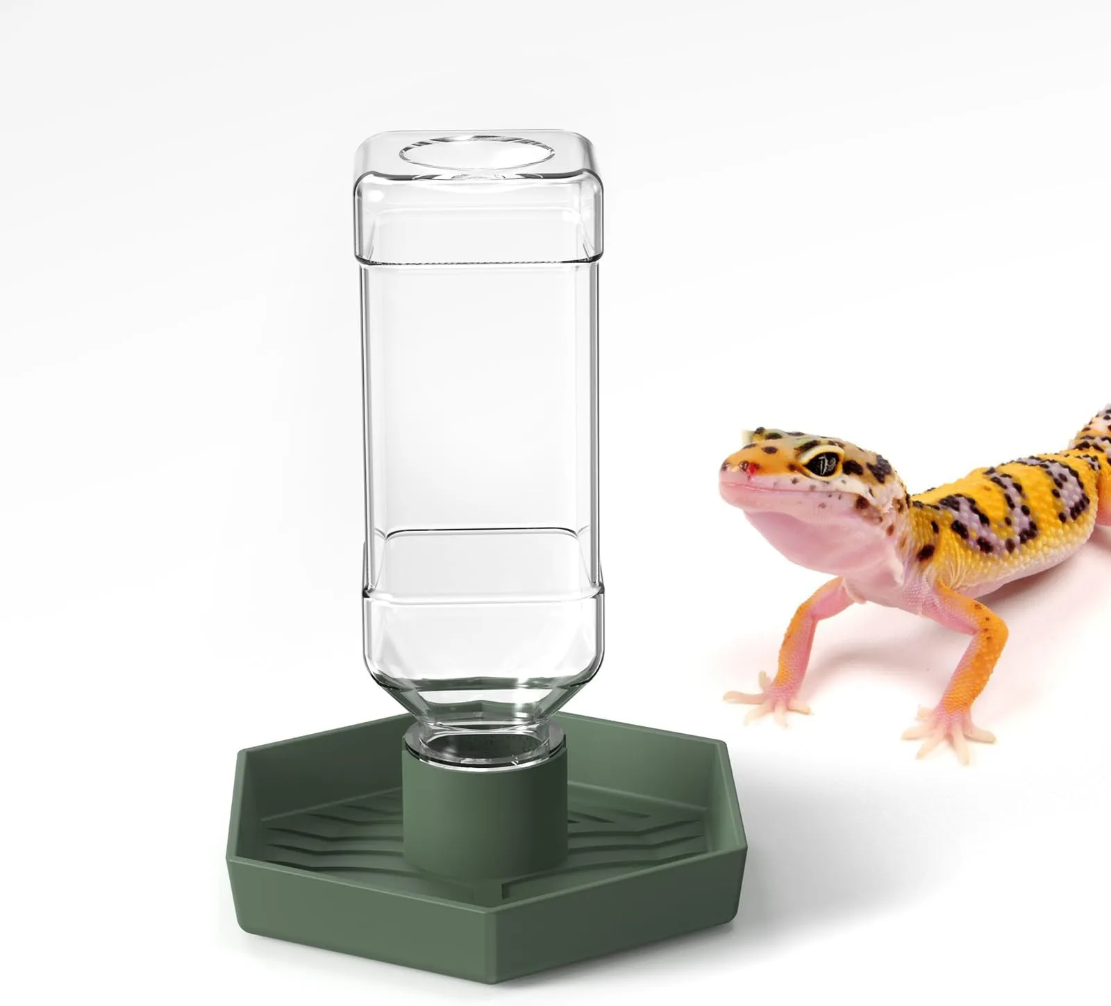 Small Reptile Water Dish - 7.5oz 250ml - Ideal Lizard Water Bowl ...