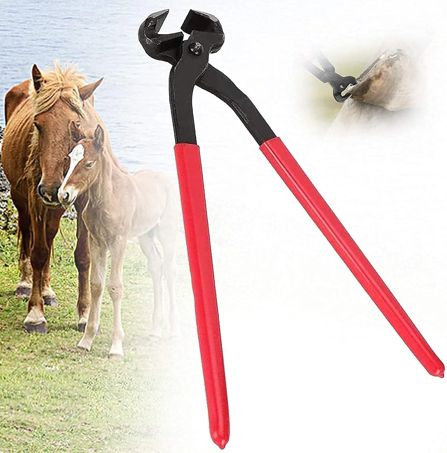 Premium Hoof Trimmer Pliers: 16-Inch Farrier Tool for Horses & Goats ...