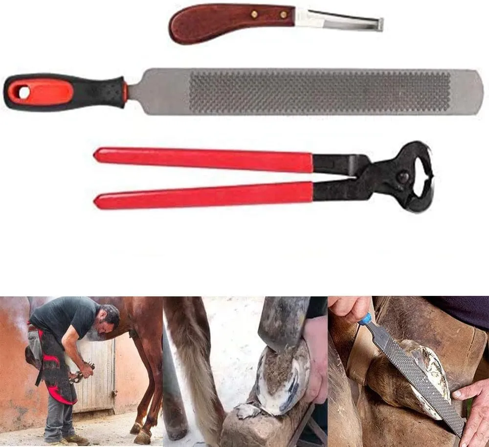Premium Horse Hoof Trimming Kit: Professional Metal Shears for Equine ...
