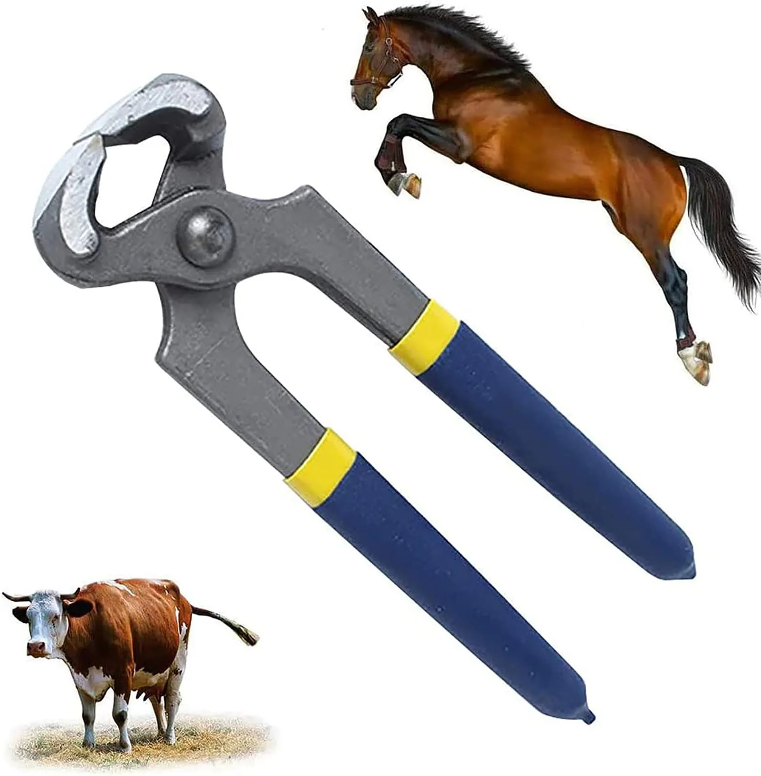 DHgate.com:Horse Hoof Trimmer Clippers - 8 Inch Steel Farrier Tool for ...