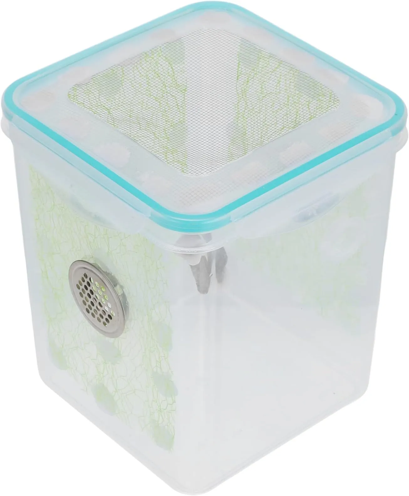 MERRYHAPY Mantis Enclosure Wooden Habitat Systems Incubator For ...