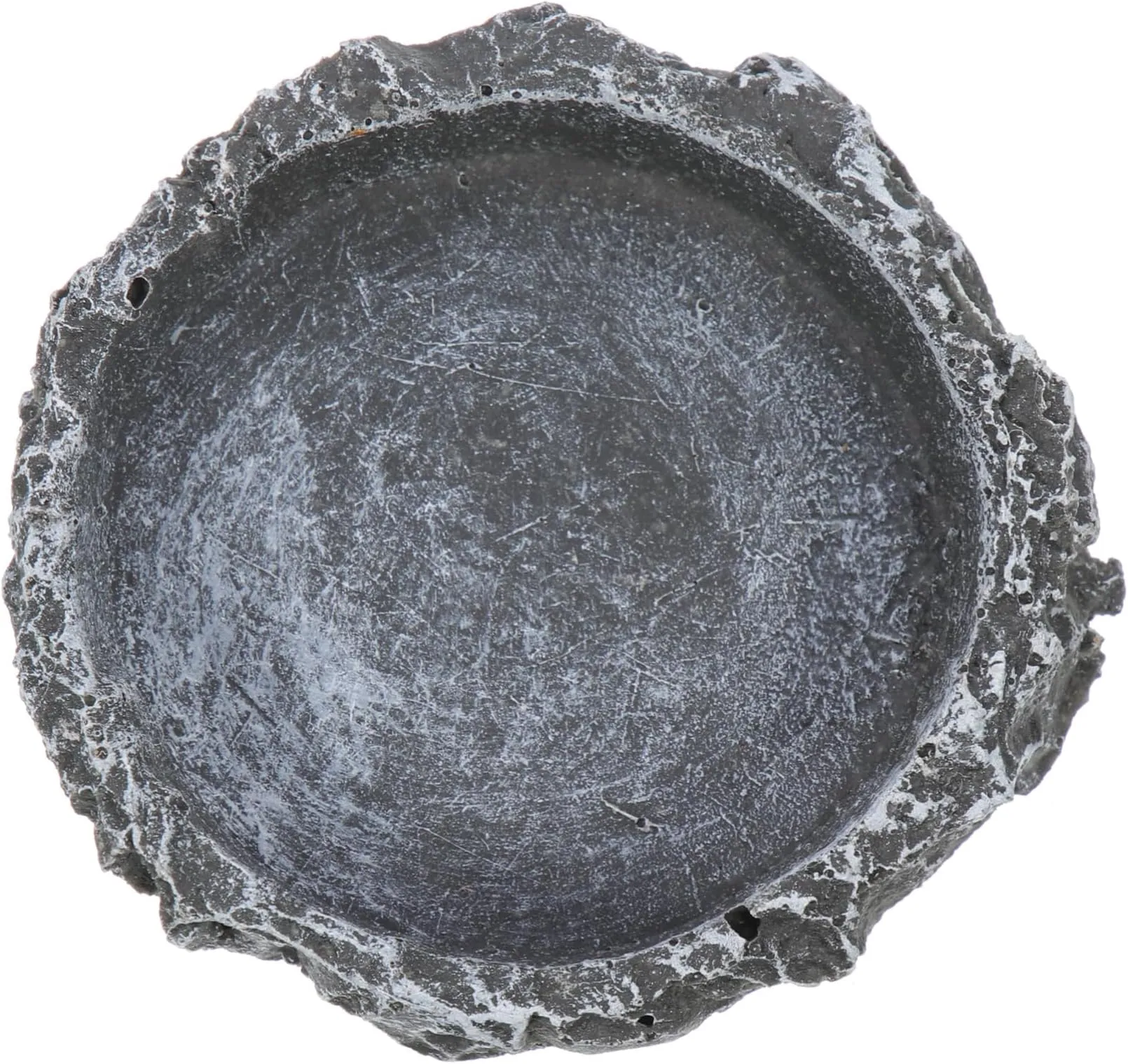 Reptile Feeding Dish & Water Bowl Combo: Tortoise, Snake & Lizard Food ...