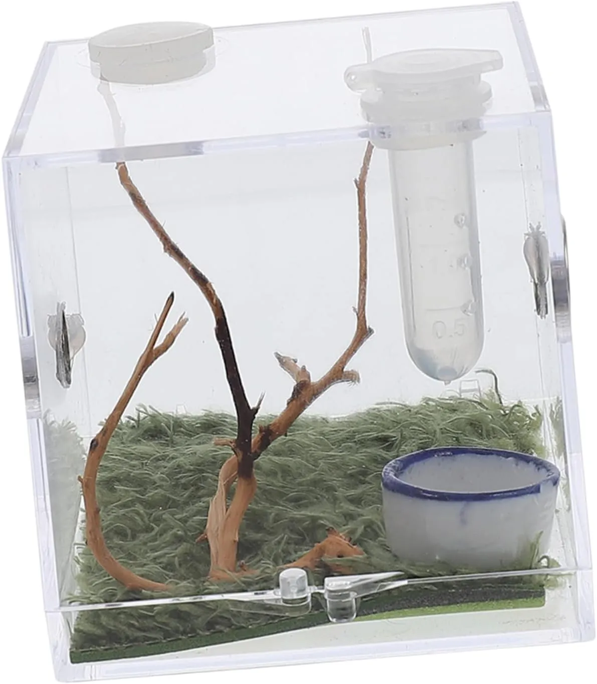 Miniature Insect Habitat - Premium Acrylic Spider Enclosure with ...