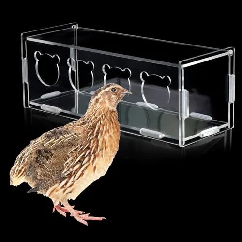 Transparent Rutin Chicken Chicken Feeder Box With 4 Holes For Small ...