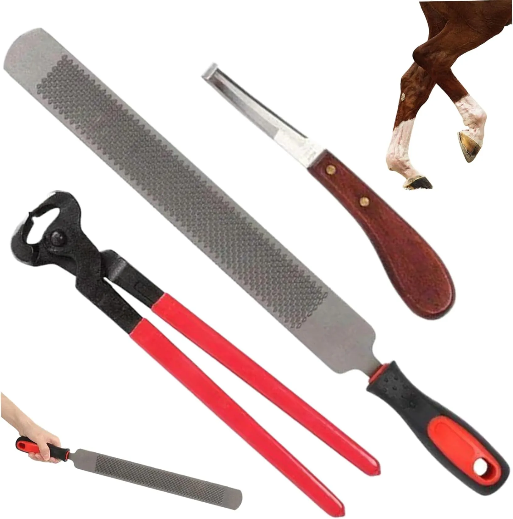 Professional Goat Hoof Trimmer Kit - Heavy Duty 3-Piece Farrier Tools ...