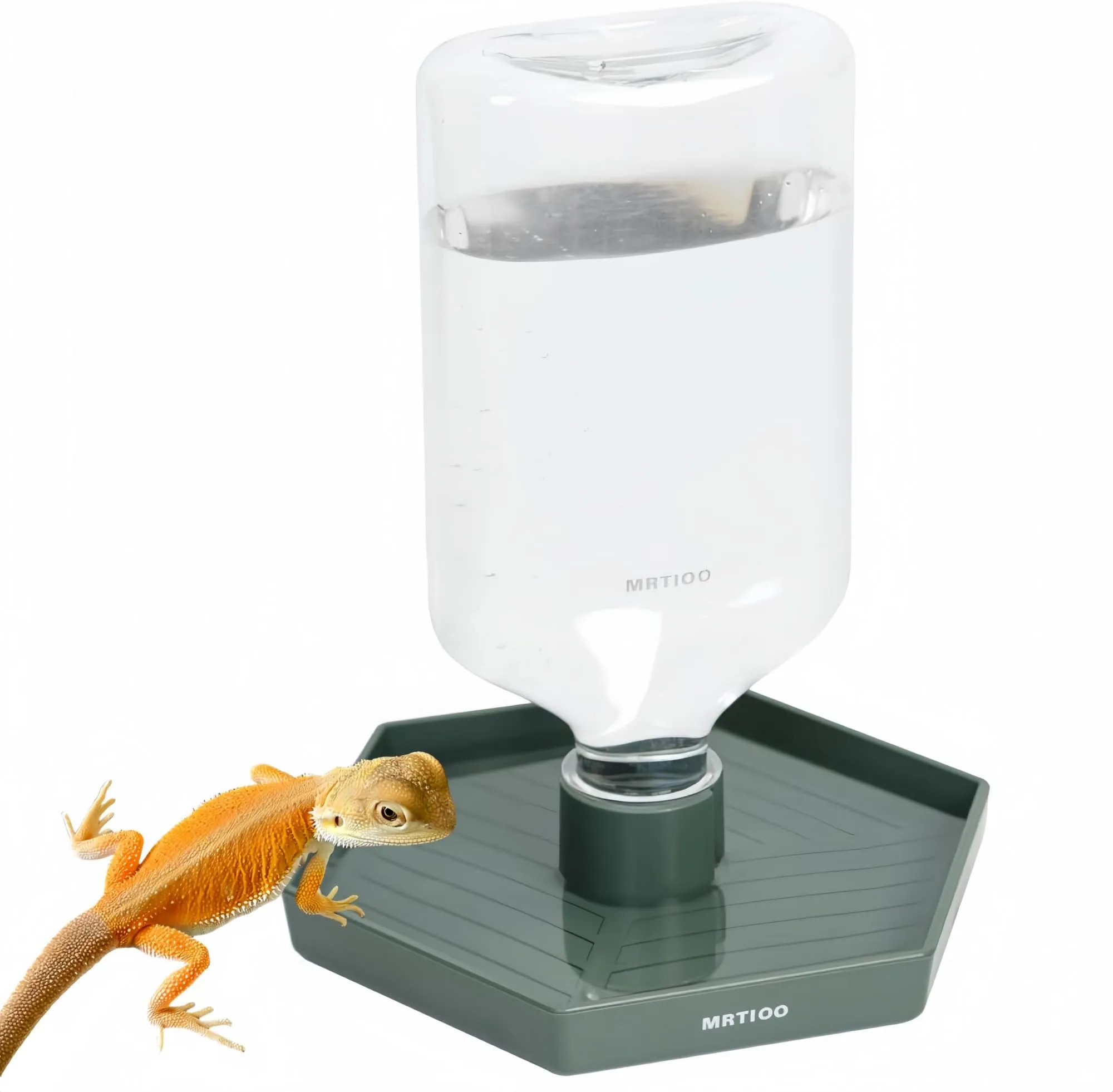 17oz Terrarium Tank Reptile Food and Water Feeder Bowl with Automatic ...