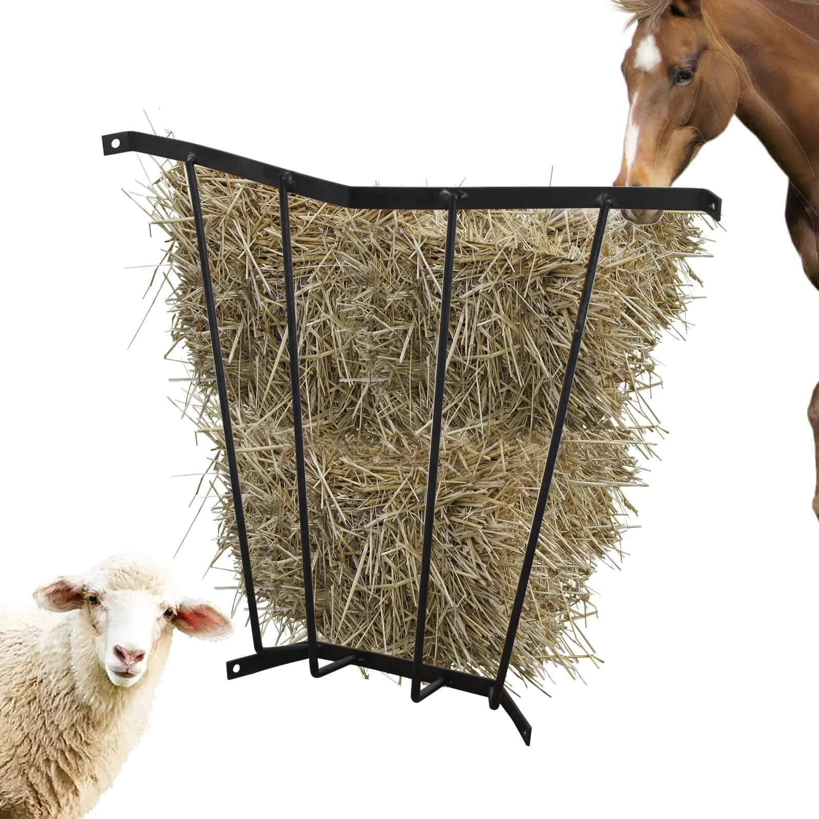 Corner Hay Feeder & Blanket Holder - Metal Rack for Horses, Goats ...