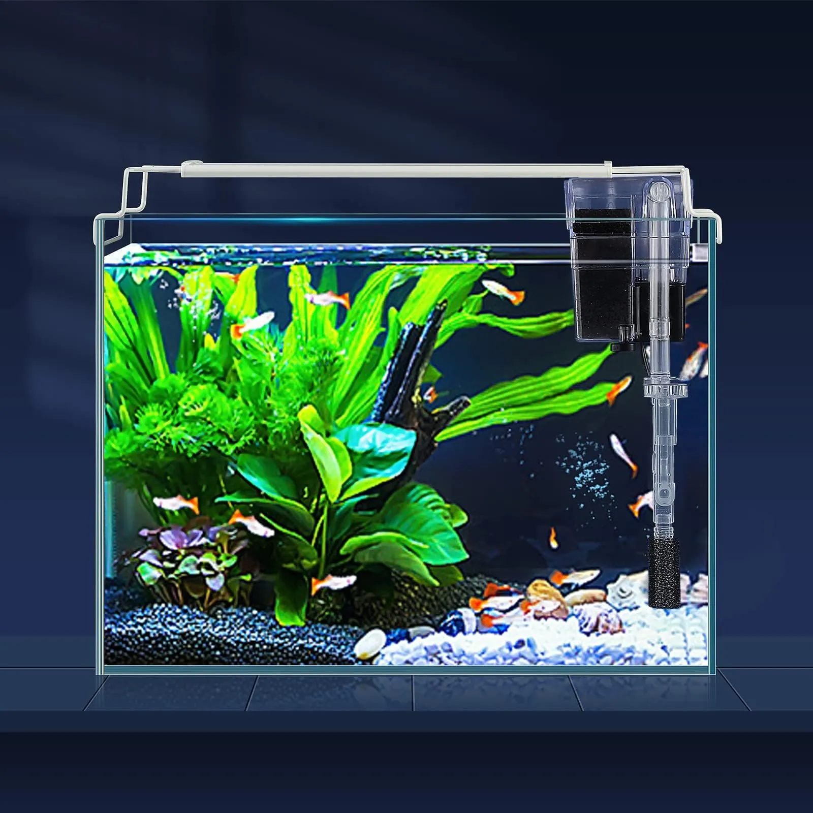 Wholesale Smallest Fish Tank With Filter, 3 Gallon Clear Glass Aquarium ...