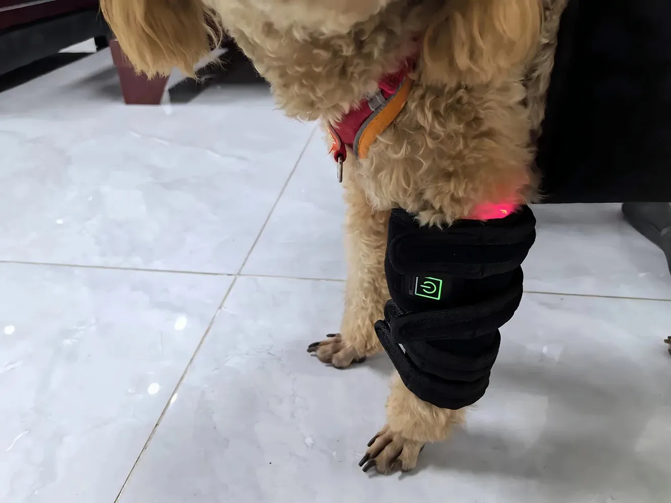 Wholesale Dog Back Leg Brace Infrared Light Therapy Wrap For Pets With ...