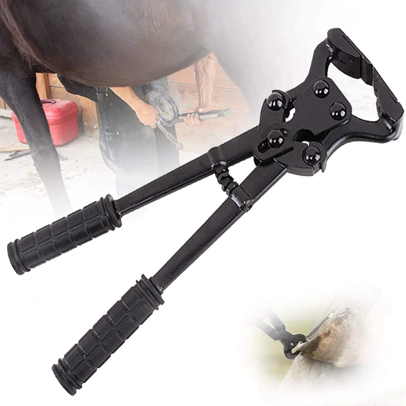 Professional Horse Hoof Trimming Tool Kit - Durable Metal Scissors ...