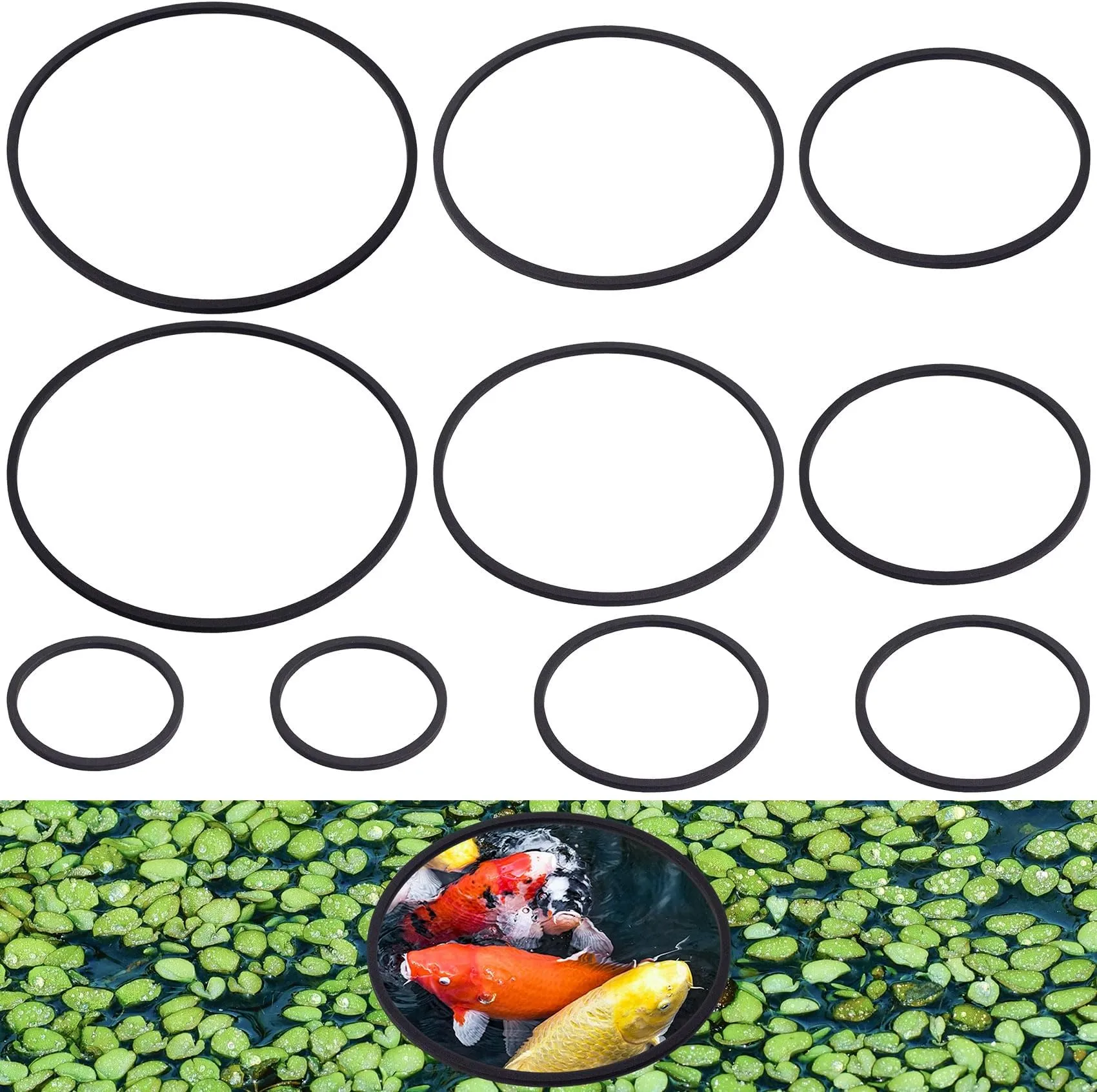 Floating Feeding Rings for Fish Tanks - Set, Assorted Sizes! Aquarium ...