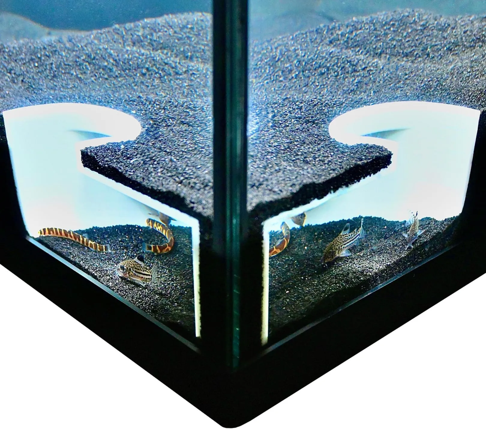 Underwater Fish Aquarium For Corner Cave With Two Holes For Viewing ...
