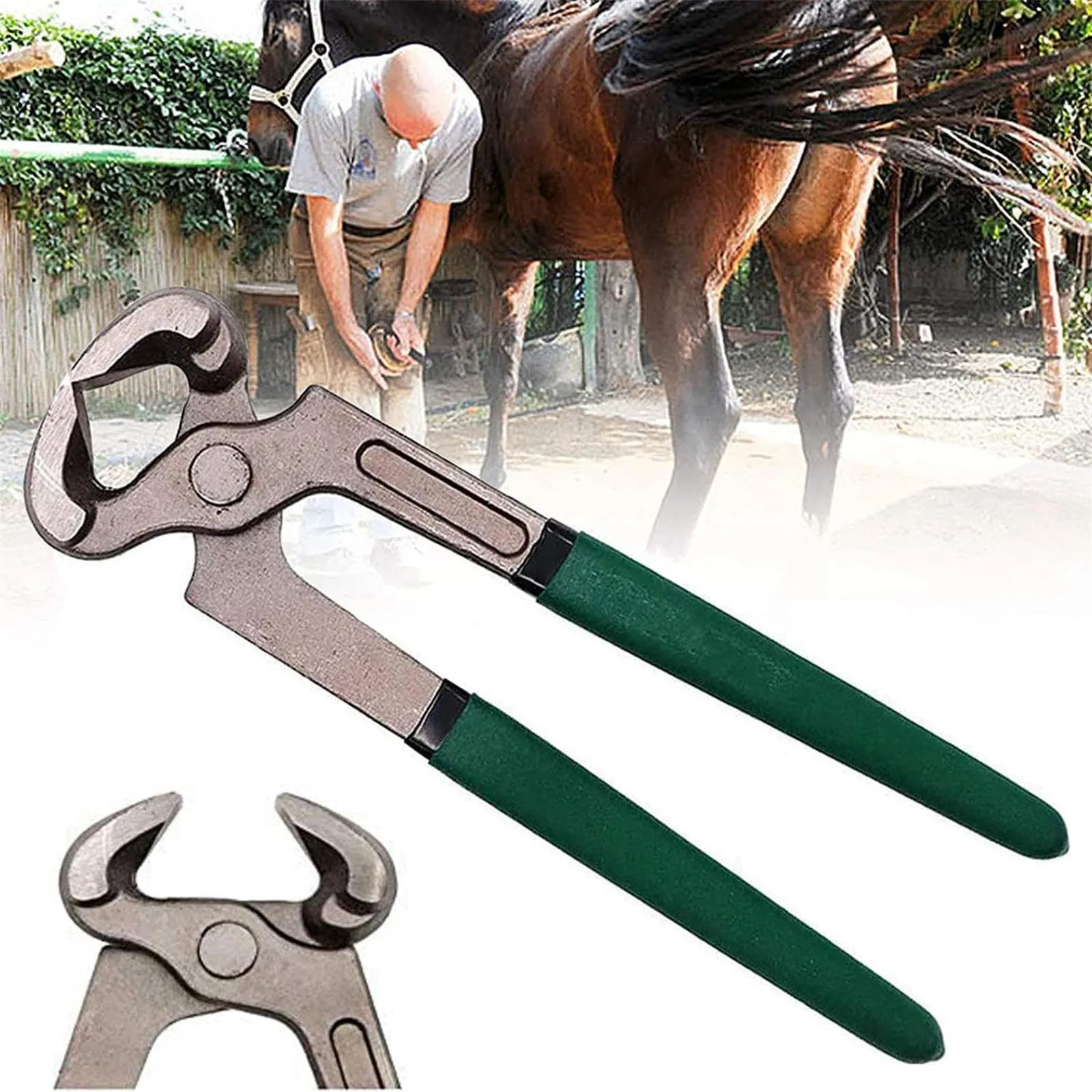 Professional Equine Trimmers - Heavy Duty Horse Hoof Trimming Tools for ...