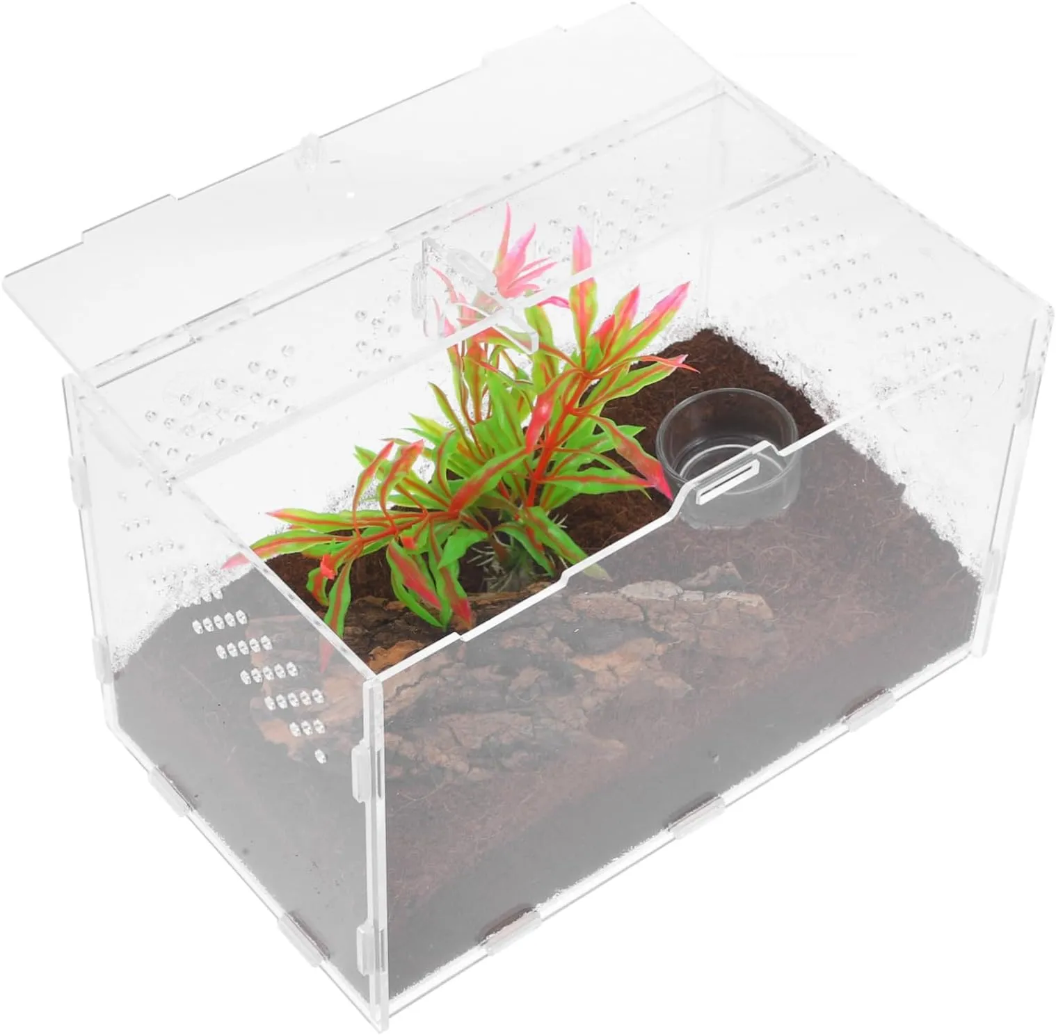 Clear Reptile Terrarium: Vertical Enclosure for Snakes, Frogs, Turtles ...
