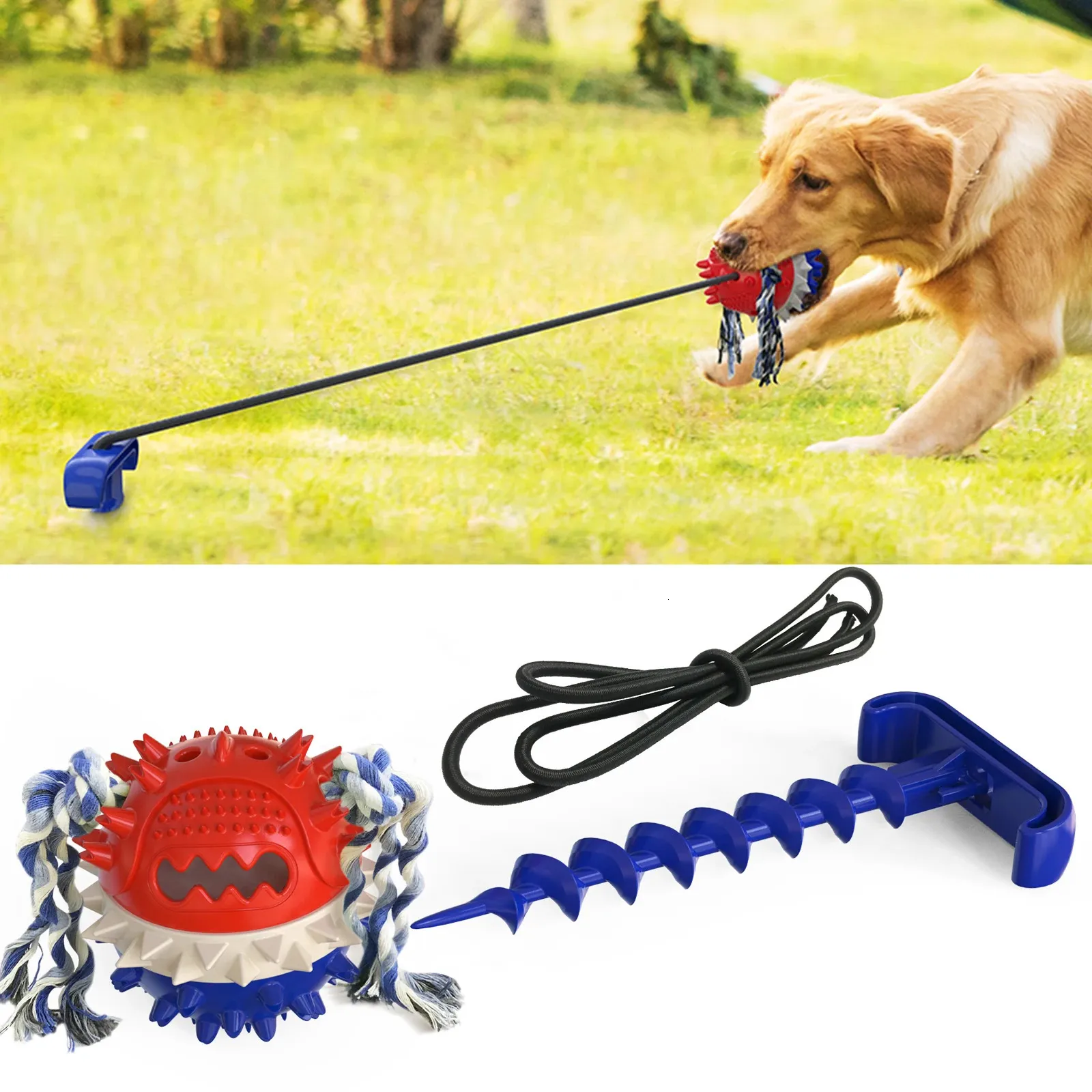 Durable Dog Chew Toy with Tie-Out Cable & Stake - Tug of War, Puzzle ...
