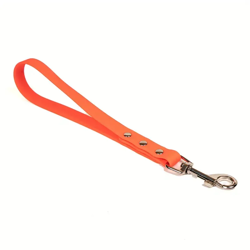 Compact Dog Tether: 1.5cm Thick - Perfect for Small Breeds! Shop Now ...