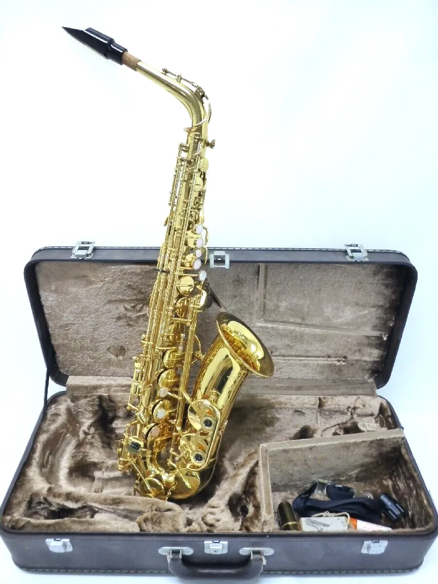 DHgate.com:Gold Alto Saxophone: A Professional Musical Instrument for ...