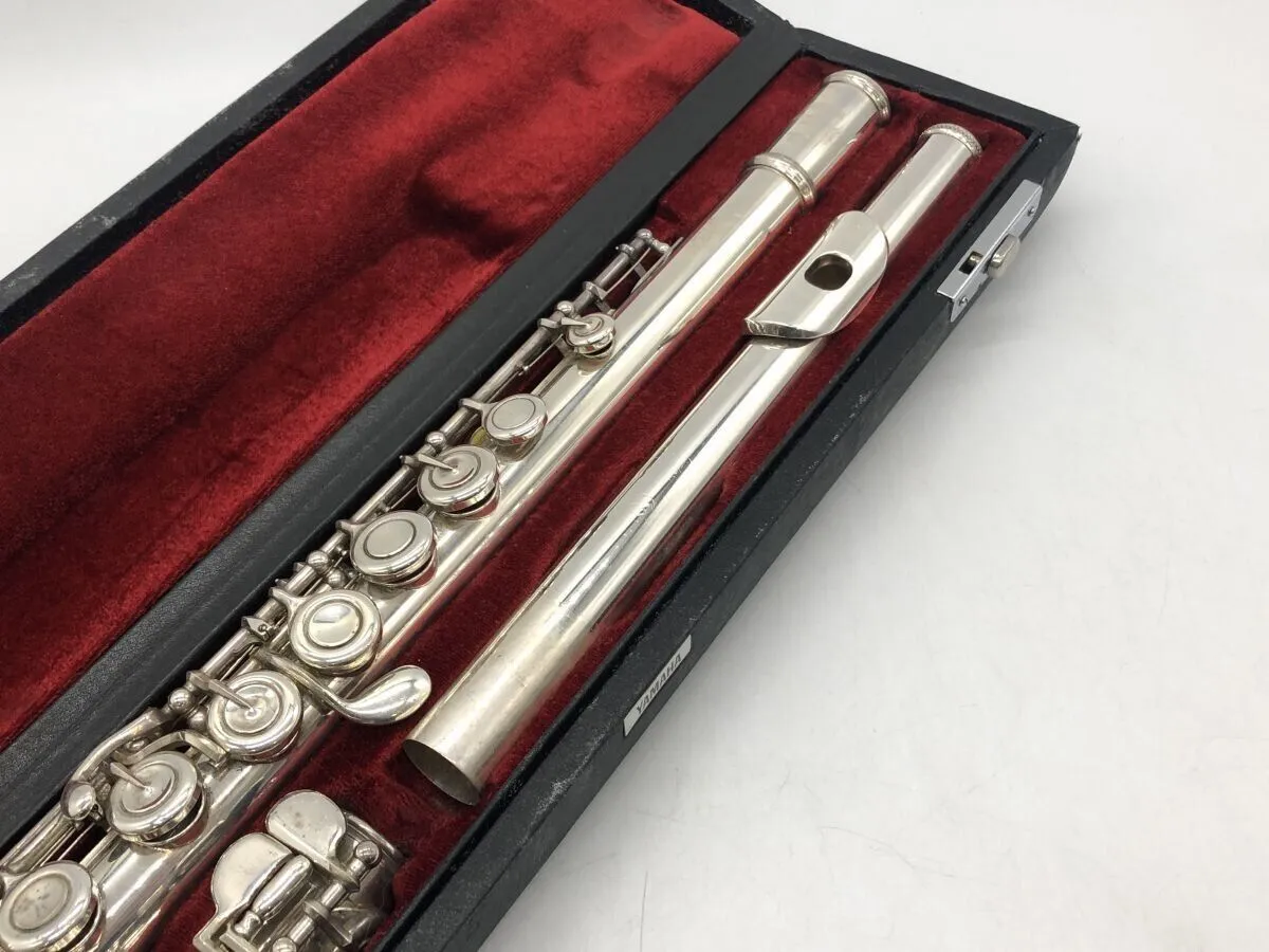 Intermediate Flute with Hard Case - Silver Plated Headjoint, Precise ...