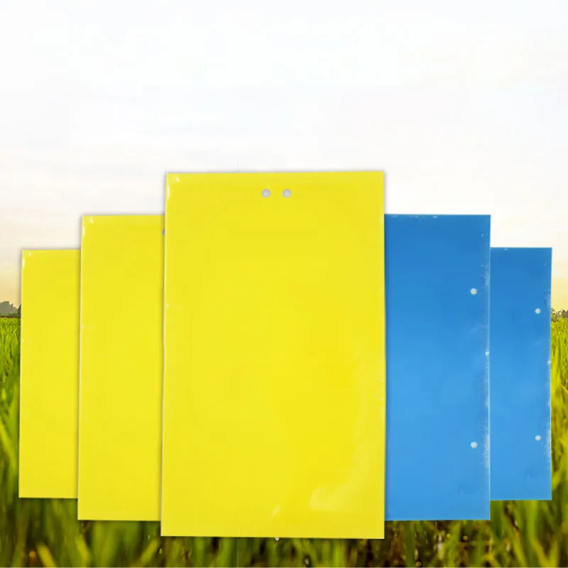 DHgate.com:2024 Wholesale Sticky Fly Traps - Effective Insect Control ...