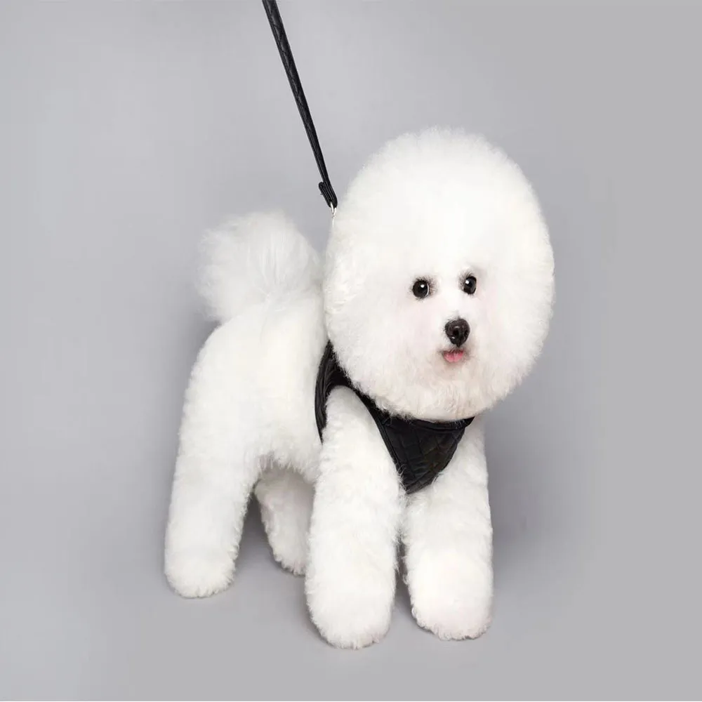 DHgate.com:Genuine Leather Dog Collar & Leash Set with Designer Letters ...