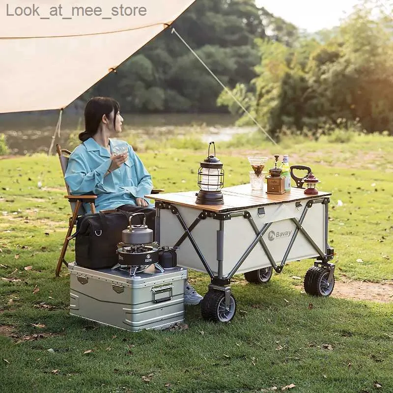 DHgate.com:Shopping Carts Aolivia Official Park Outdoor Camping Vehicle ...