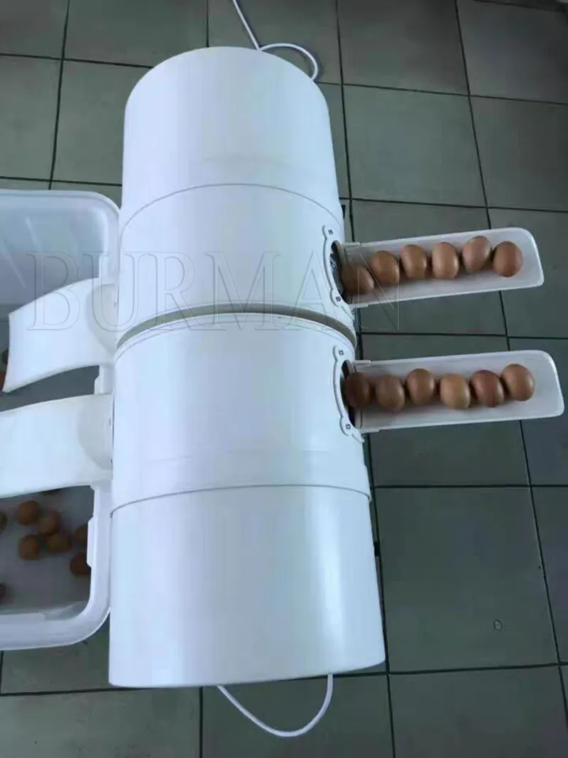 Commercial Environment-Friendly Plastic Automatic Fresh Egg Cleaning ...
