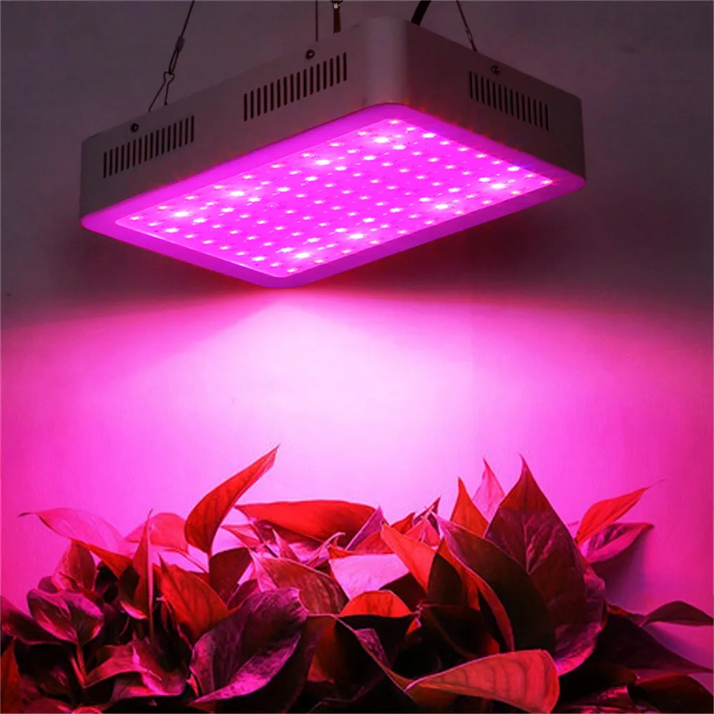 Full Spectrum LED Grow Light Bulbs For Indoor Plants: 300W 2000W Double ...
