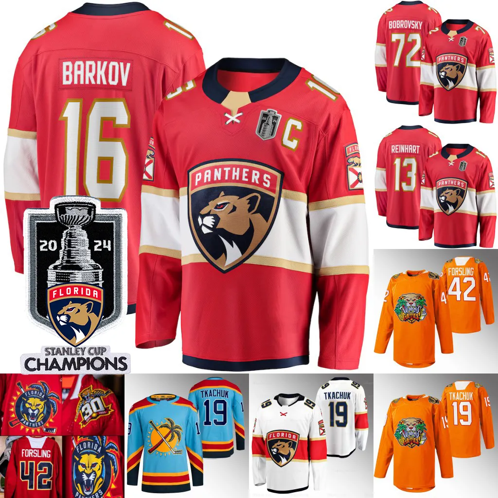 Panthers 30th Anniversary Custom Hockey Sweaters Featuring Matthew ...