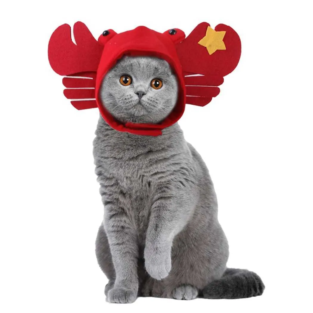 DHgate.com:Pet Hats for Dogs & Cats - Warm Rabbit Hat for Christmas ...