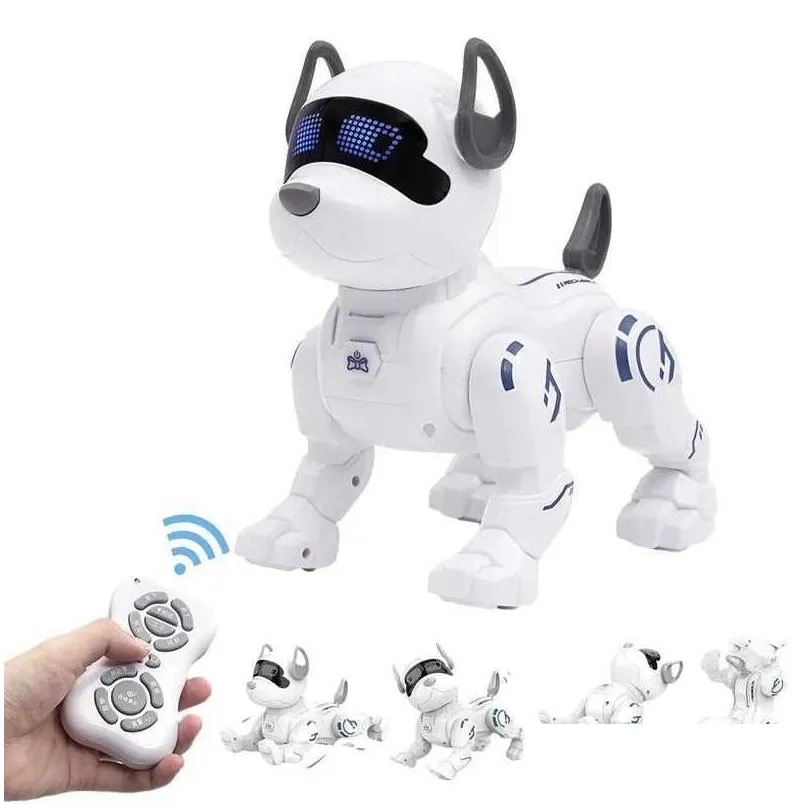 Intelligent Touch RC Robot Most Intelligent Dogs Stunt Walking, Dancing ...