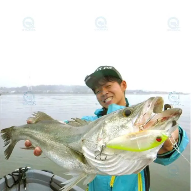 DHgate.com:JAPAN Megabass Fishing Lure FLAP SLAP LBO SW Jerkbait, 95mm ...