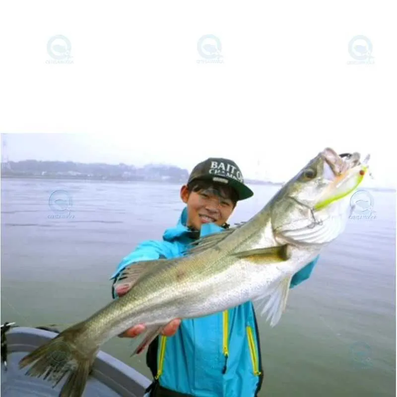 DHgate.com:JAPAN Megabass Fishing Lure FLAP SLAP LBO SW Jerkbait, 95mm ...