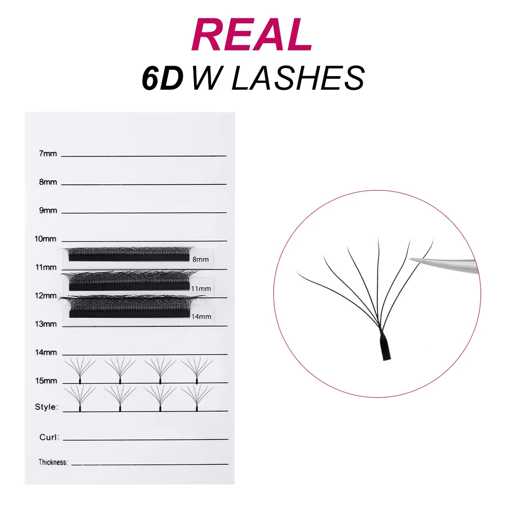 Fadvan Real 6D W Lashes 0.07 W Shape Eyelash Extensions - C/D/L Curl ...