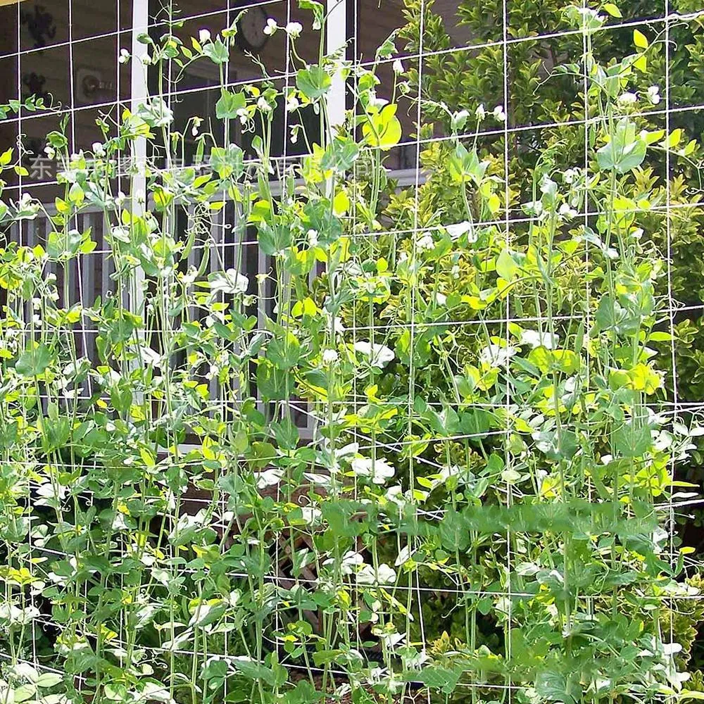 Expandable Garden Trellis 10m Plant Climbing Net: Heavy Duty Mesh For Flowers, Peas, Grapes ...