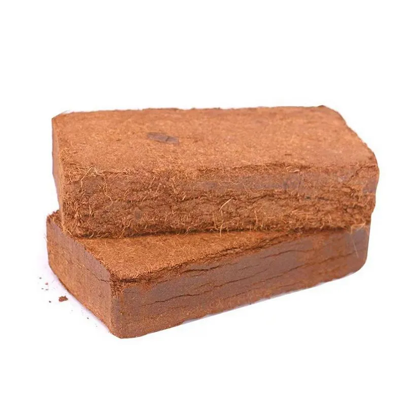 Wholesale Reptile Terrarium Natural Coconut Fiber Substrate: Bedding ...