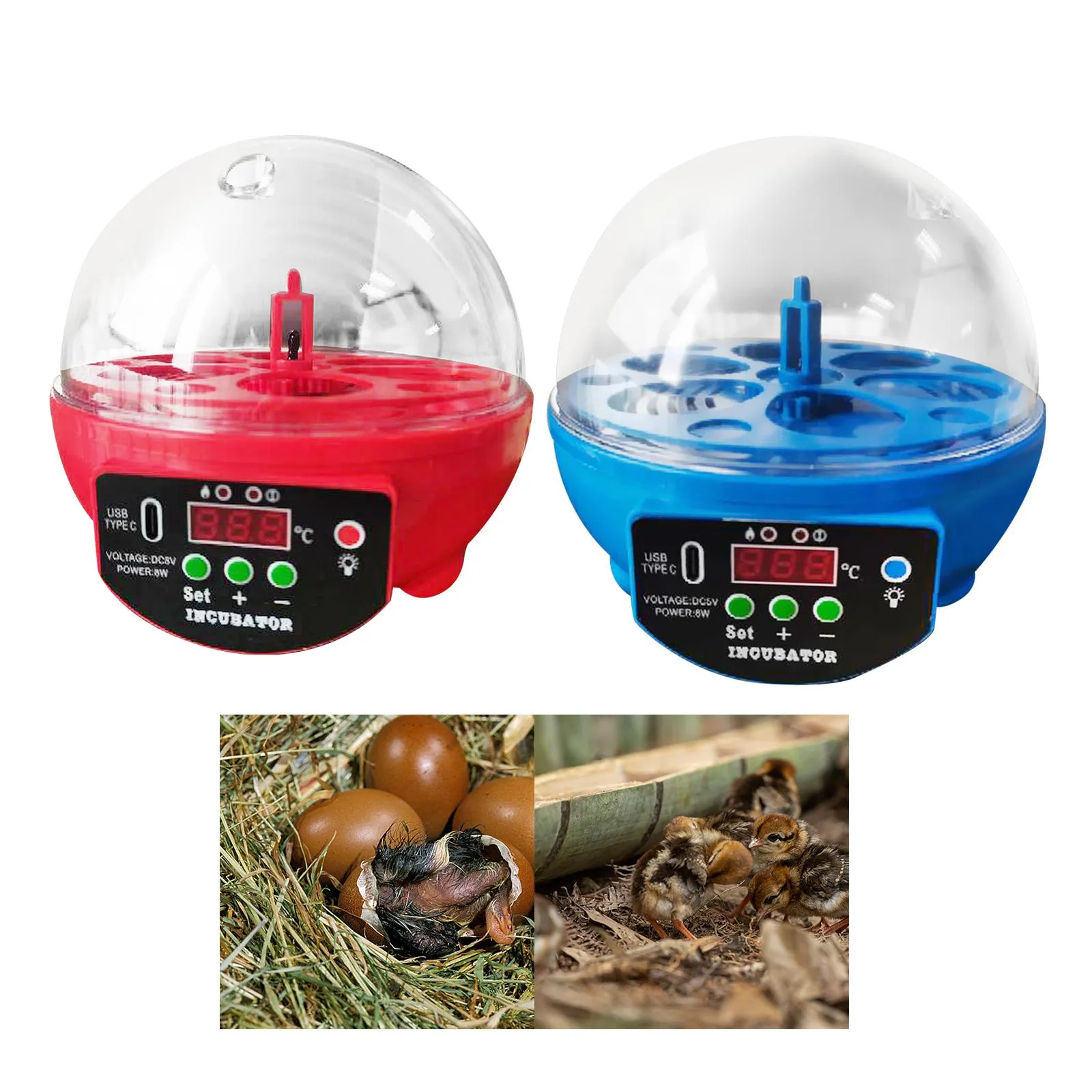 USB Mini Egg eggs for incubator with Automatic Hatching Brooder for ...