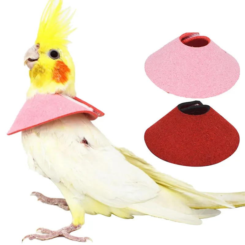 DHgate.com:Bird Elizabethan Collar - Adjustable Parrot Recovery Cone ...
